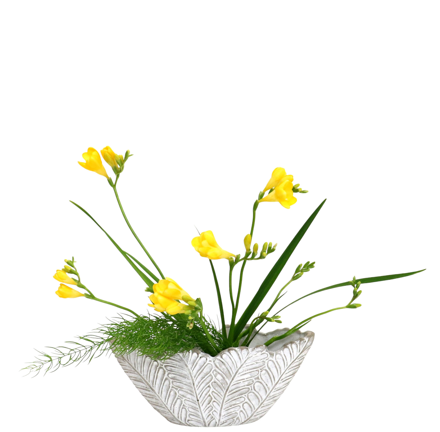 プラスONE 切り花S [2025年4月 – 1回目] | 日本総合園芸の花のサブスク | 花の定期便 | 自社配送便